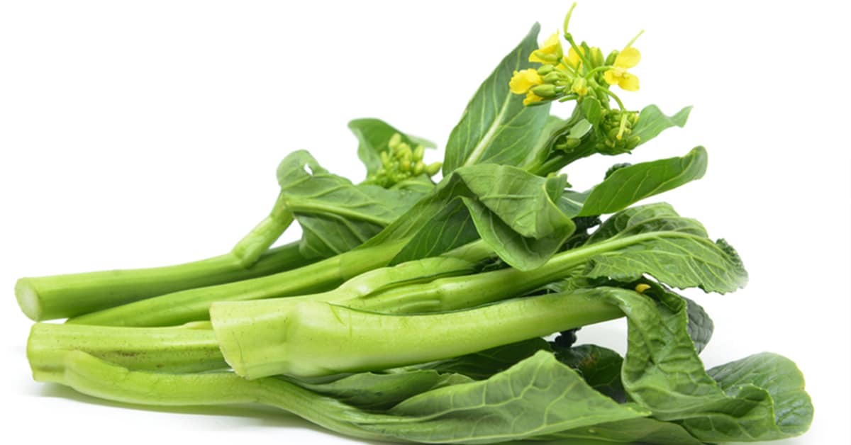 Flowering cabbage, Brassica rapa (ผักกวางตุ้ง ; phak gwaang dtoong ...