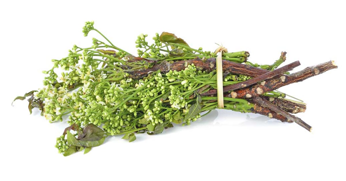 Margosa tree, Azadirachta indica (sadao ; สะเดา) - Thaifoodmaster